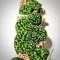 Unlock the Beauty of Scindapsus Snake Scale in 5 Easy Steps!